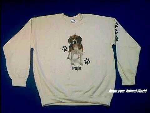 Beagle Sweatshirt Adult and Youth Sizes USA at Animal World®