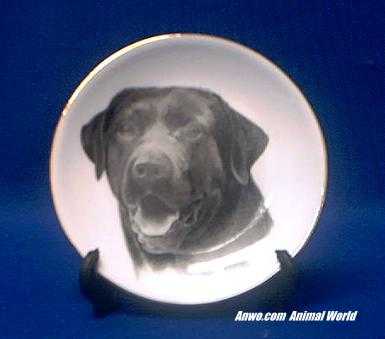 Black Lab Plate Porcelain 4" with Gold Trim at Anwo.com Animal World®