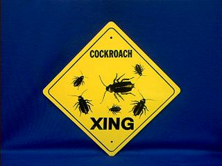 Cockroach Crossing Sign at Animal World®