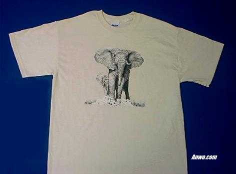 Elephant T Shirt Adult Adult and Youth Sizes USA at Animal World®