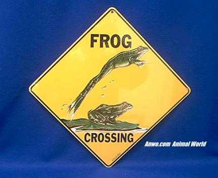 Frog Crossing Sign at Animal World®