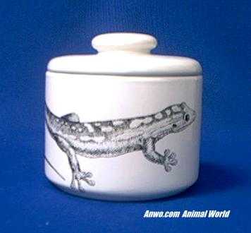 Gecko Porcelain Jar at Animal World®