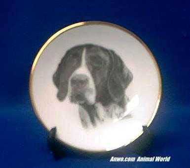German Shorthair Pointer Plate 4" with Gold Trim at Anwo.com Animal World®