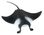 Manta Ray Toy Small Figurine at Animal World®
