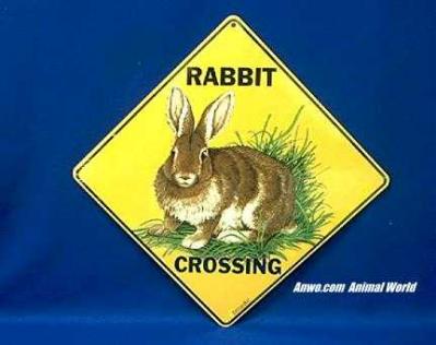 Rabbit Crossing Sign at Animal World®