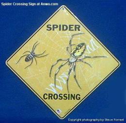 Animal Crossing Signs at Anwo.com Animal World®