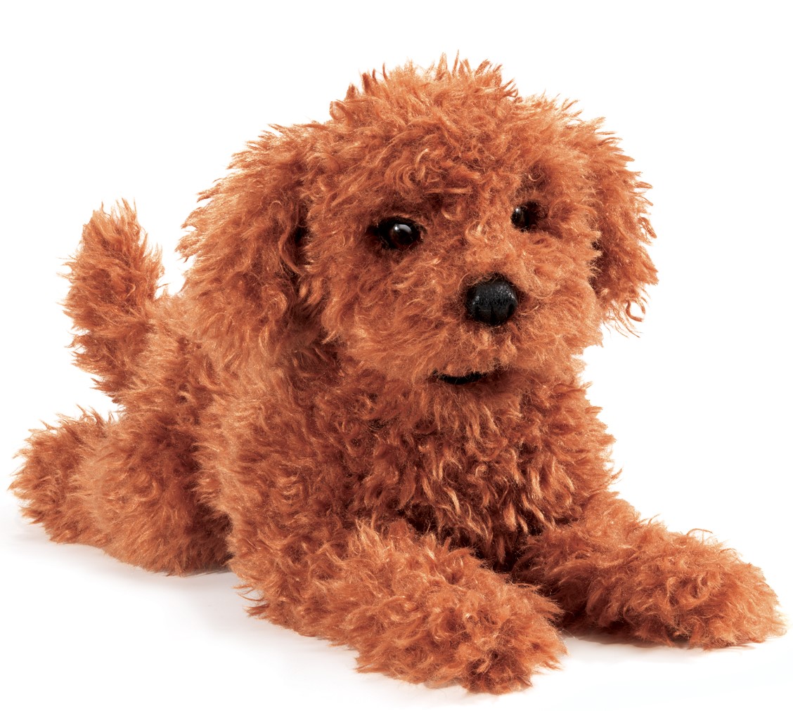 Toy Poodle Puppy Puppet at Anwo.com Animal World®